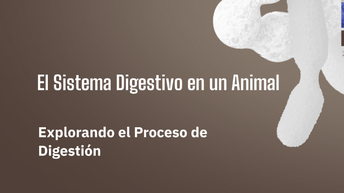 El Sistema Digestivo en un Animal by Maribel Medrano on Prezi