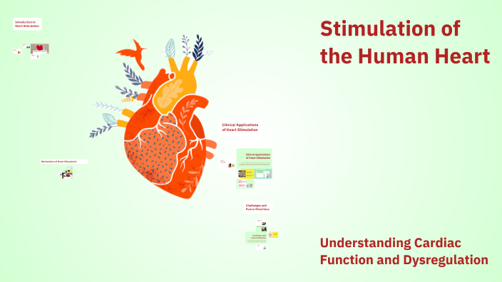 Stimulation of the Human Heart by Atharva Kamat on Prezi
