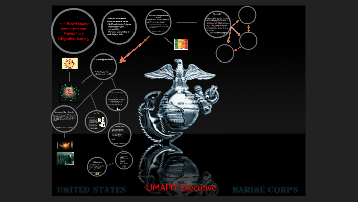 UMAPIT Executive by Kim Smith on Prezi