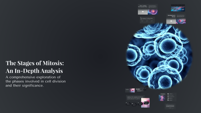 The Stages of Mitosis: An In-Depth Analysis by James Fuller on Prezi
