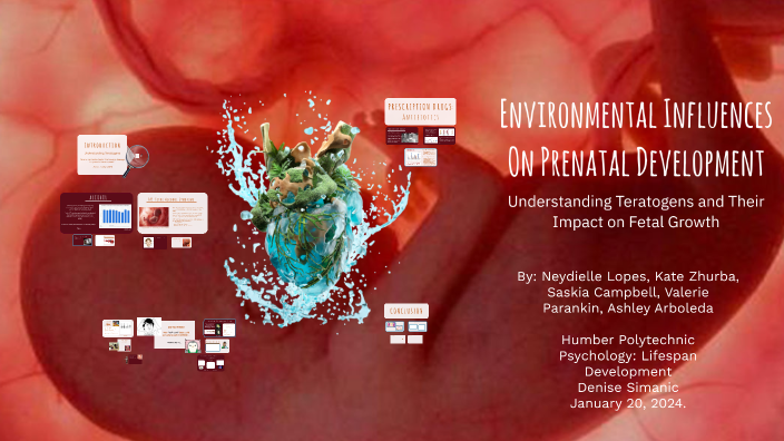 Environmental Influences On Prenatal Development by Neydielle Lopes on ...