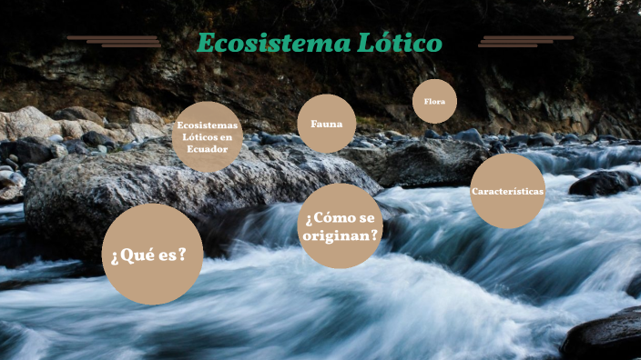 Ecosistema Lótico by Anaely Toro on Prezi