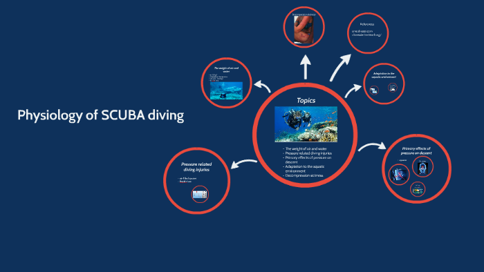 Physiology of SCUBA diving by Anna Uzonyi on Prezi