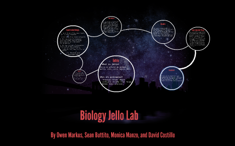 Biology Jello Lab by Sean + Owen Buttito + Markus on Prezi