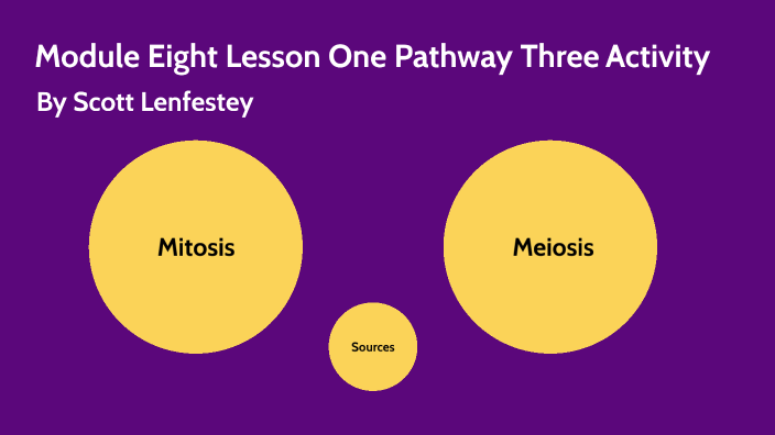Module Eight Lesson One Pathway Three Activity by Scott Lenfestey on Prezi