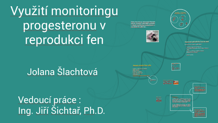 Využití monitoringu progesteronu v reprodukci fen by Jol ma on Prezi