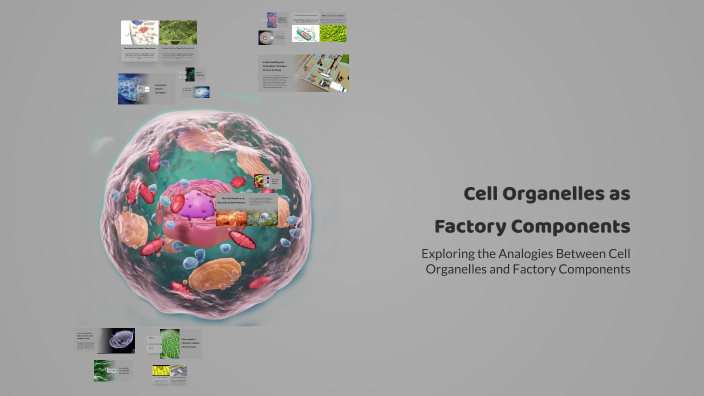 Cell Organelles as Factory Components by warda basirun on Prezi