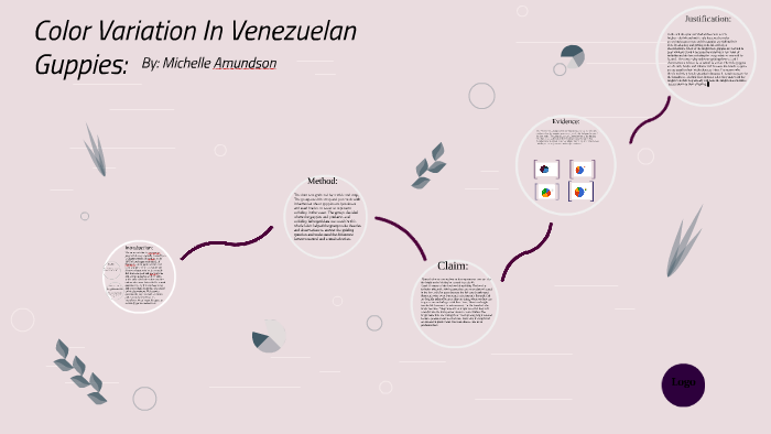 Color Variation In Venezu by Michelle Amundson on Prezi