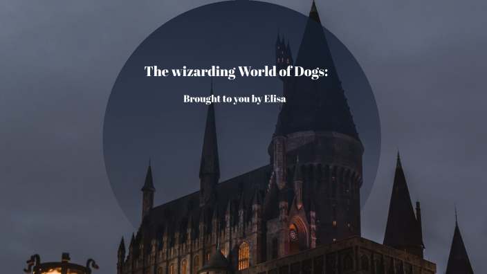 Harry Potter characters.... by Elisa Kelly on Prezi
