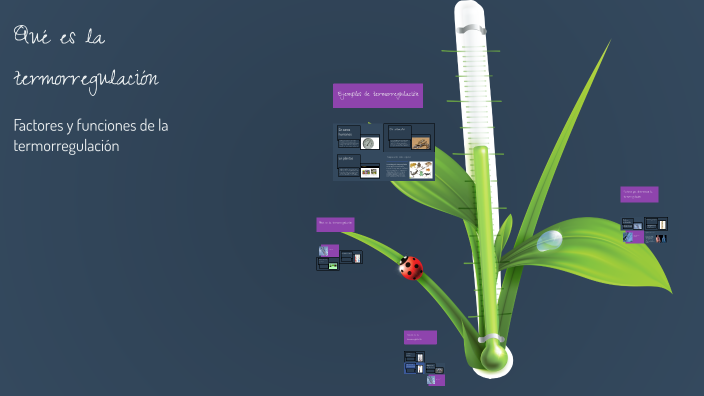 Qué es la termorregulación by Mauro Daniel Cauich Vazquez on Prezi