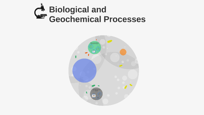 Biological and Geochemical Processes by Jessica Moore on Prezi