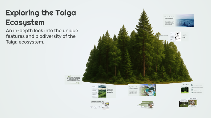 Exploring the Taiga Ecosystem by TImmy Lebranski on Prezi
