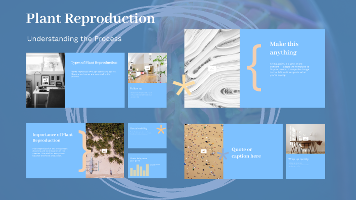 Plant Reproduction by Evan Piccirillo on Prezi