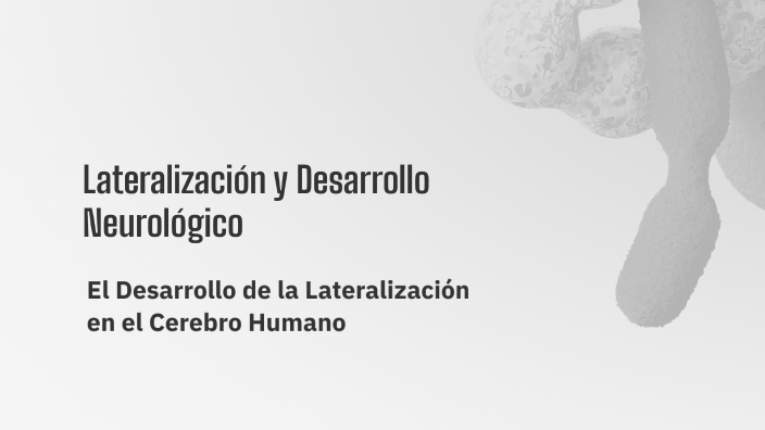 Lateralización y Desarrollo Neurológico by abigail viteri on Prezi