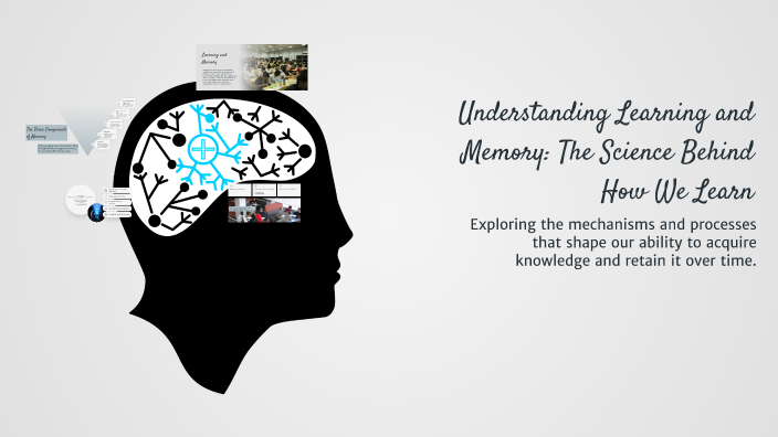 Understanding Learning and Memory: The Science Behind How We Learn by ...