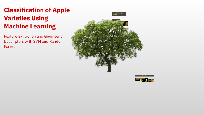 Classification of Apple Varieties Using Machine Learning by Kai Aebli ...