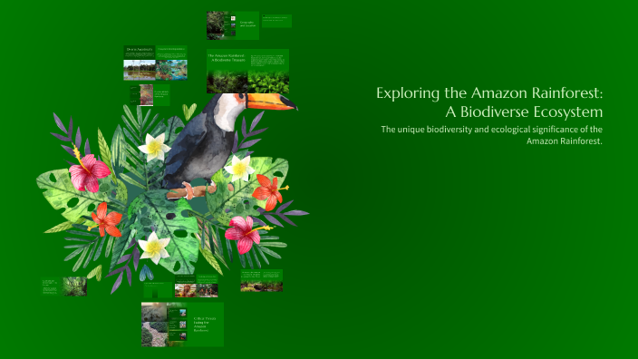 Exploring the Amazon Rainforest: A Biodiverse Ecosystem by Diana Lucio ...
