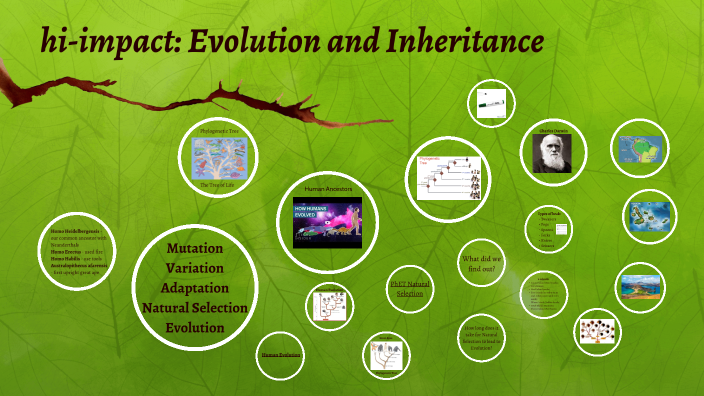 Evolution by on Prezi