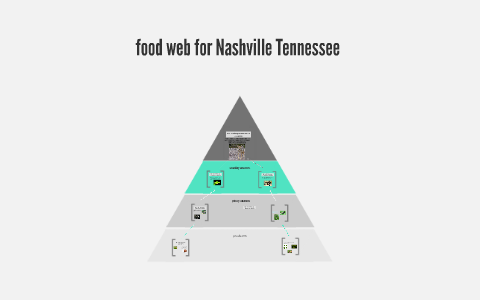 food web for Nashville Tennessee by daycha bria on Prezi