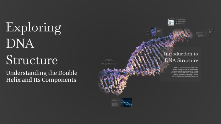 Exploring DNA Structure by hana mohamed on Prezi