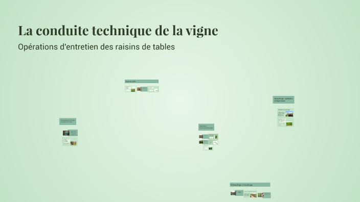 La conduite technique de la vigne by Sanae Saber on Prezi