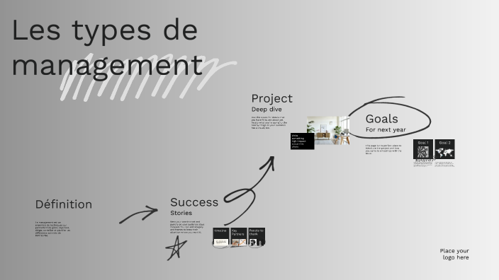 les types de management by lorraine besse on Prezi