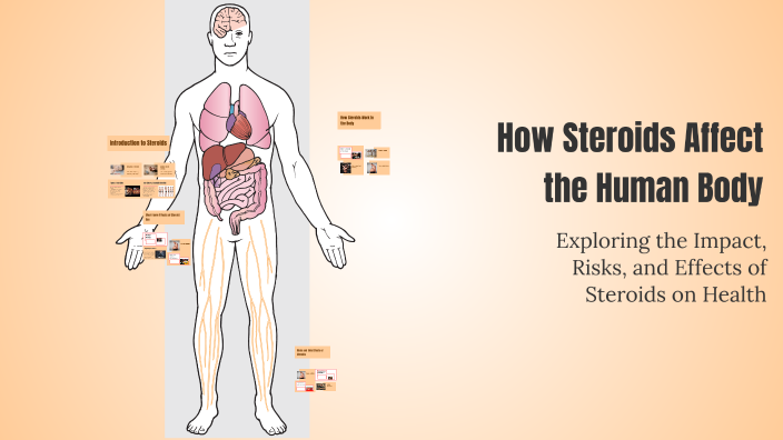 How Steroids Affect the Human Body by Daniela Vallejo on Prezi