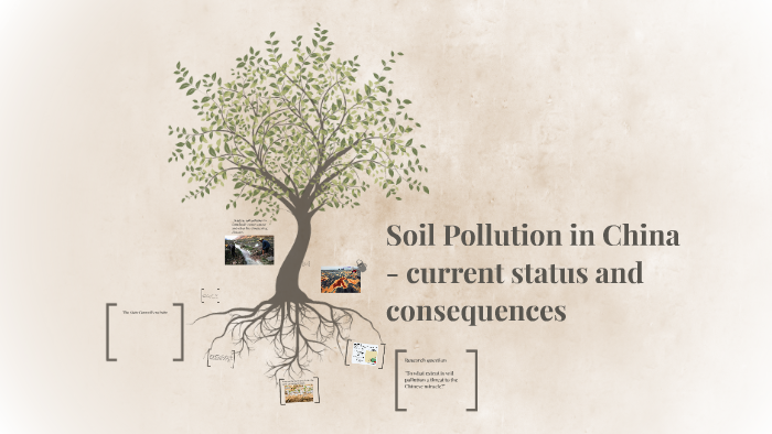 Soil Pollution in China by Lenita Norin on Prezi