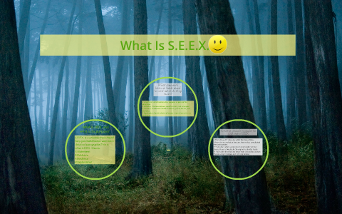 : What is SEEX, and what is its purpose? by j3rod d3loa on Prezi