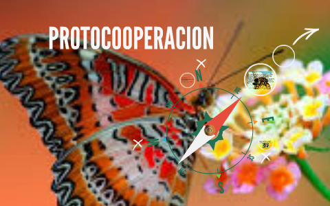 PROTOCOOPERACION by Nory Mejia on Prezi