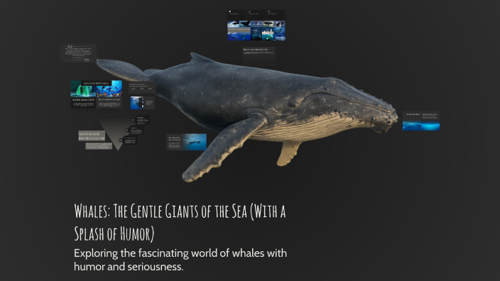 Whales: The Gentle Giants of the Sea (With a Splash of Humor) by Álmos ...