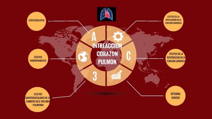 INTERACCION CORAZON PULMON by HAVITH JAIME on Prezi