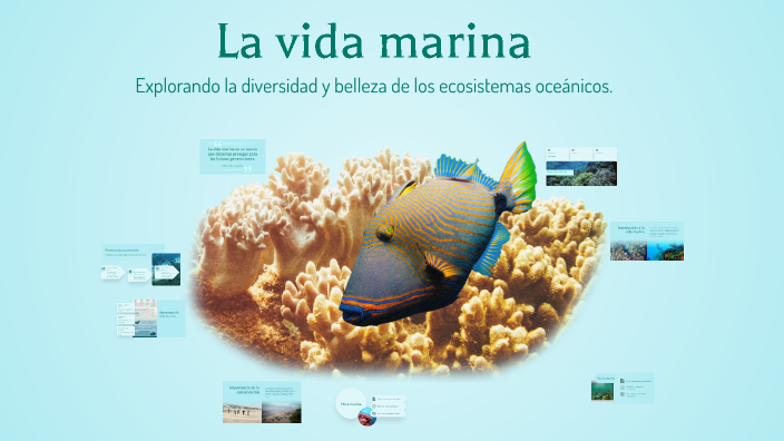 La vida marina by Bryanna Portillo on Prezi