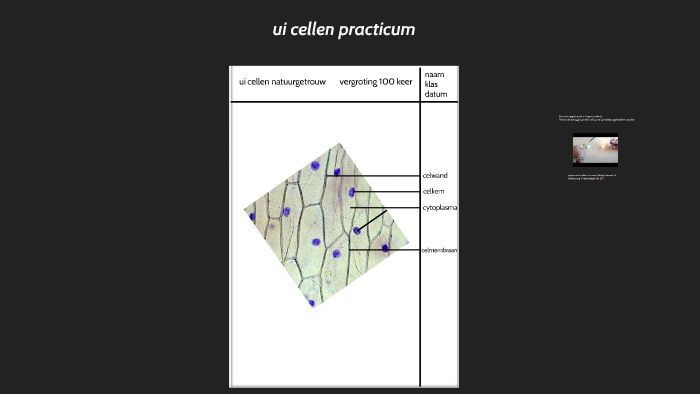 ui cellen practicum by Amanda Selling on Prezi