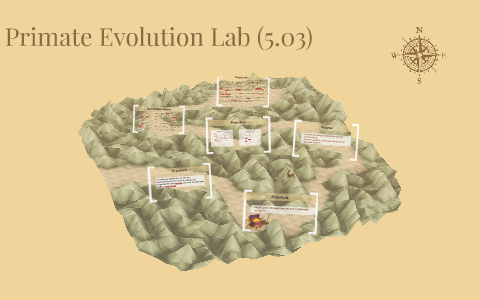 Primate Evolution Lab (5.03) by d s on Prezi