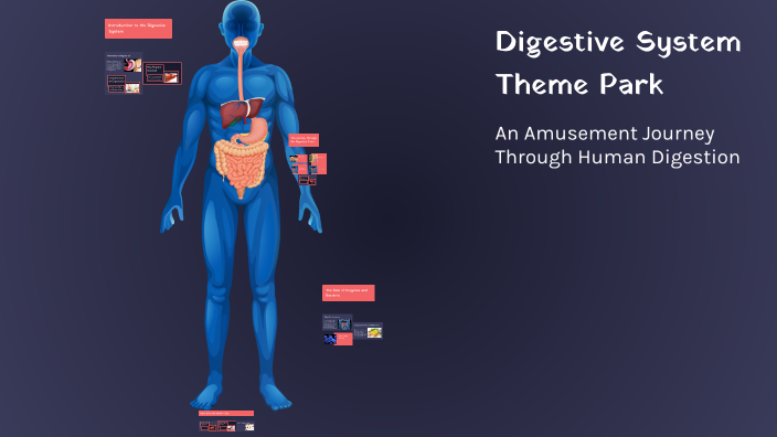 Digestive System Theme Park by Shana Hill on Prezi