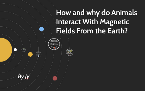 How and why do Animals Interact With Magnetic Fields From the Earth? by ...