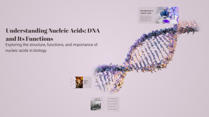 Understanding Nucleic Acids: DNA and Its Functions by Kuba Kuba on Prezi