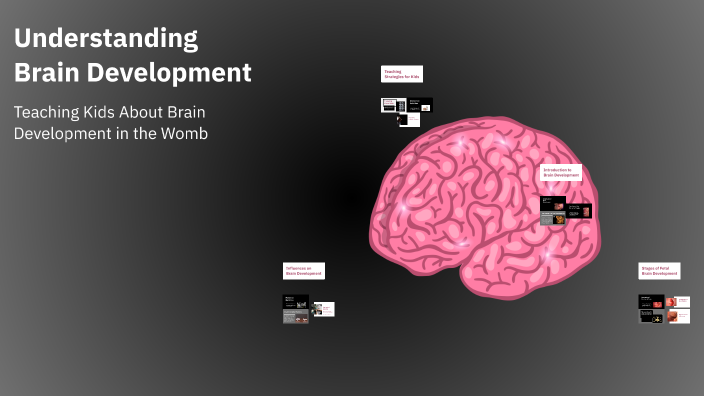 Understanding Brain Development by Carrinda Webber on Prezi