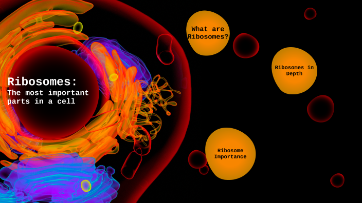 Cell Parts-Why Ribosomes are the Most Important Parts in a Cell by ...
