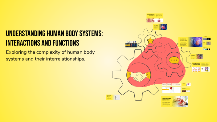 Understanding Human Body Systems: Interactions and Functions by RACHEAL ...