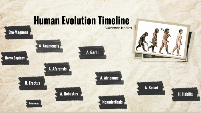 Human Evolution Timeline by Sukhman Khaira on Prezi