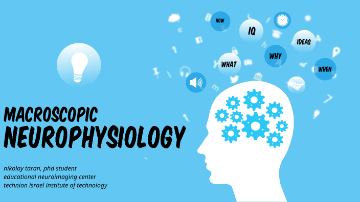 Macroscopic neurophysiology by Nikolay Taran on Prezi