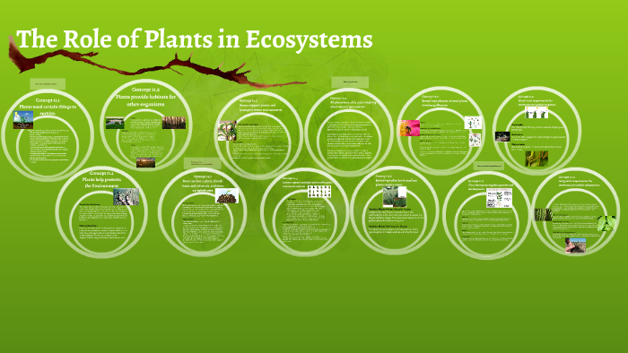 The Role of Plants in Ecosystems by chelsea laflamme on Prezi