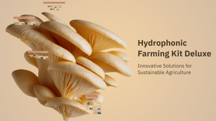 Deluxe Hydroponic Kit Sample Components Hydroponic Structure: Wall ...