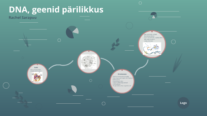 Raku ehitus by Rachel Sarapuu on Prezi