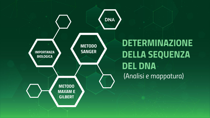 Determinazione della sequenza DNA by giulia benedetti on Prezi