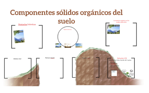 Componentes sólidos orgánicos del suelo by Lines Zc on Prezi