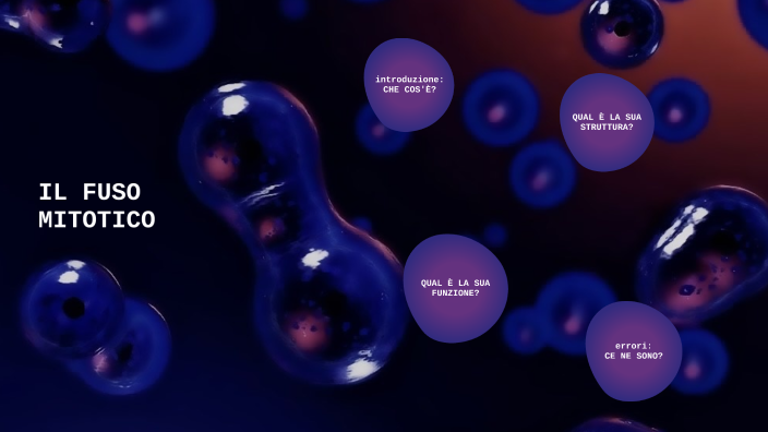 fuso mitotico by Ludovica Casentini on Prezi