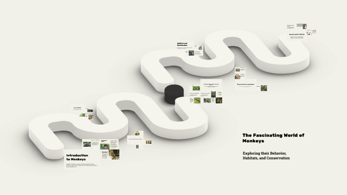 The Fascinating World of Monkeys by Eli Rapp on Prezi